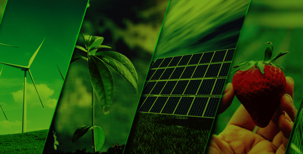 Abuse of Environment Whistleblower Safe Haven | Peace Evolution